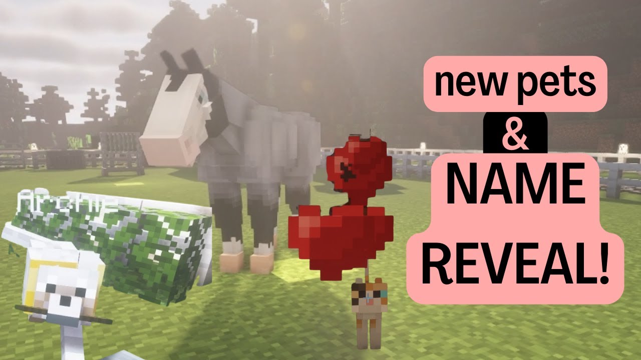 Naming my horse and getting new pets! SWEM Minecraft - YouTube
