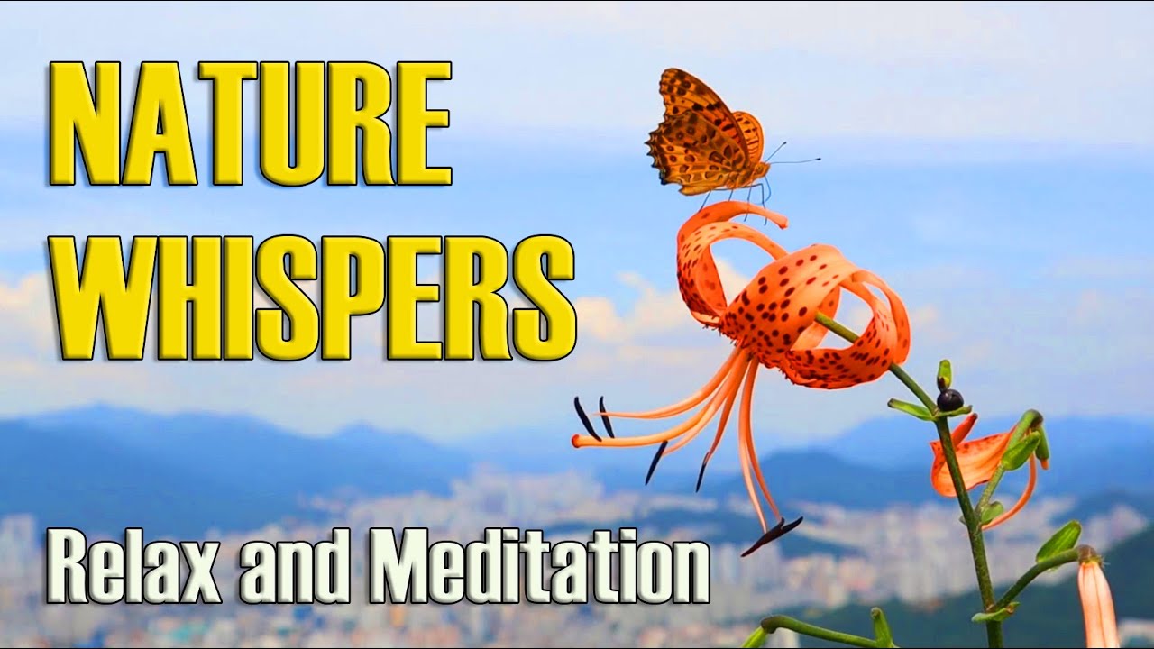 Nature Whispers - A natural healing relax and meditation music. - YouTube