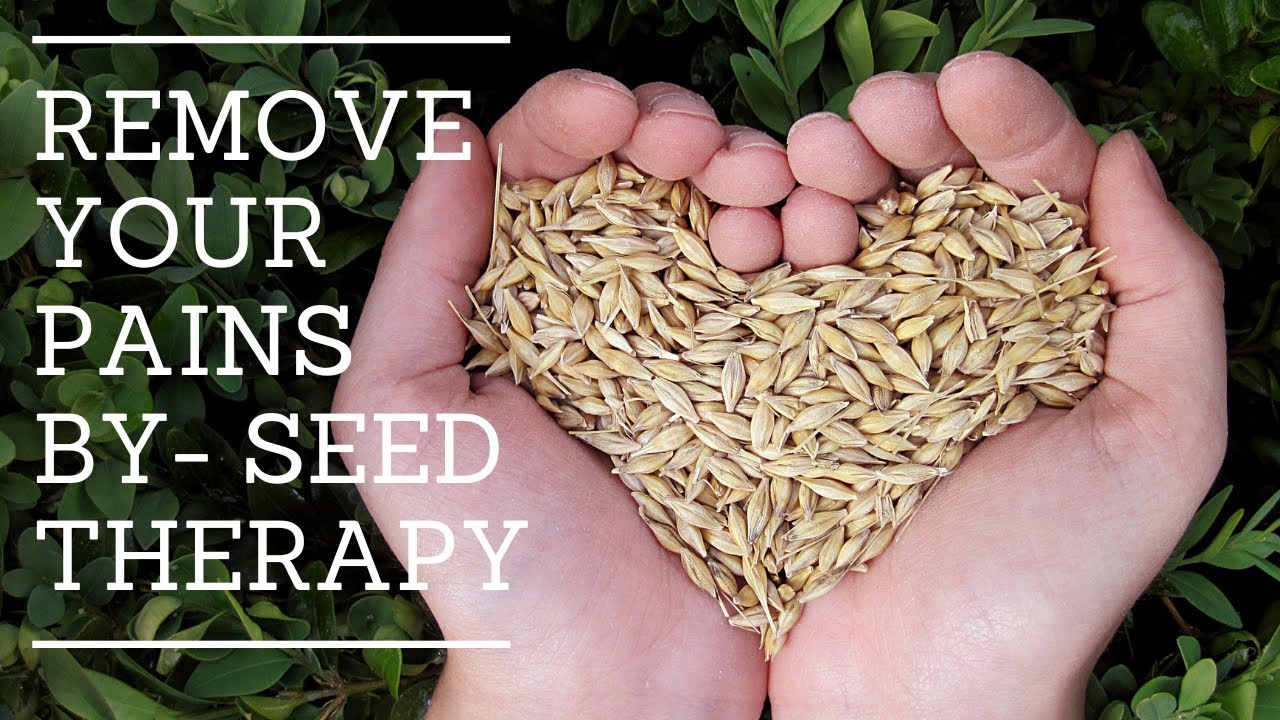 REMOVE YOUR PAINS BY SEED THERAPY - YouTube