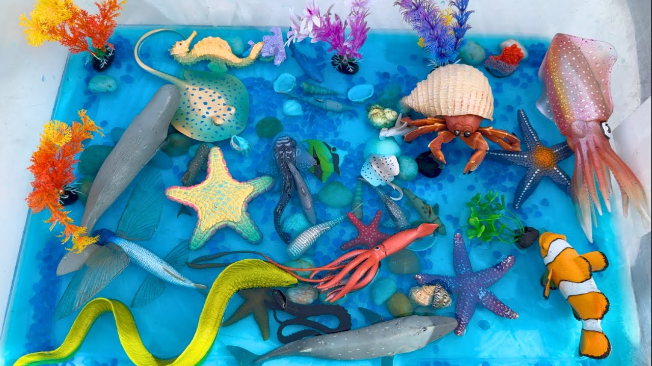 Ocean World Toys At Home Ocean! Bulding A OCEAN WITH SEA ANIMALS - YouTube