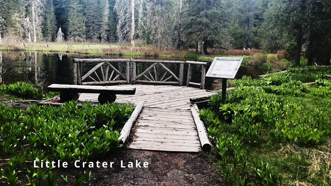 (4K UHD) HIKING HIGHLIGHTS - Little Crater Lake Trail to Flooded Planks ...