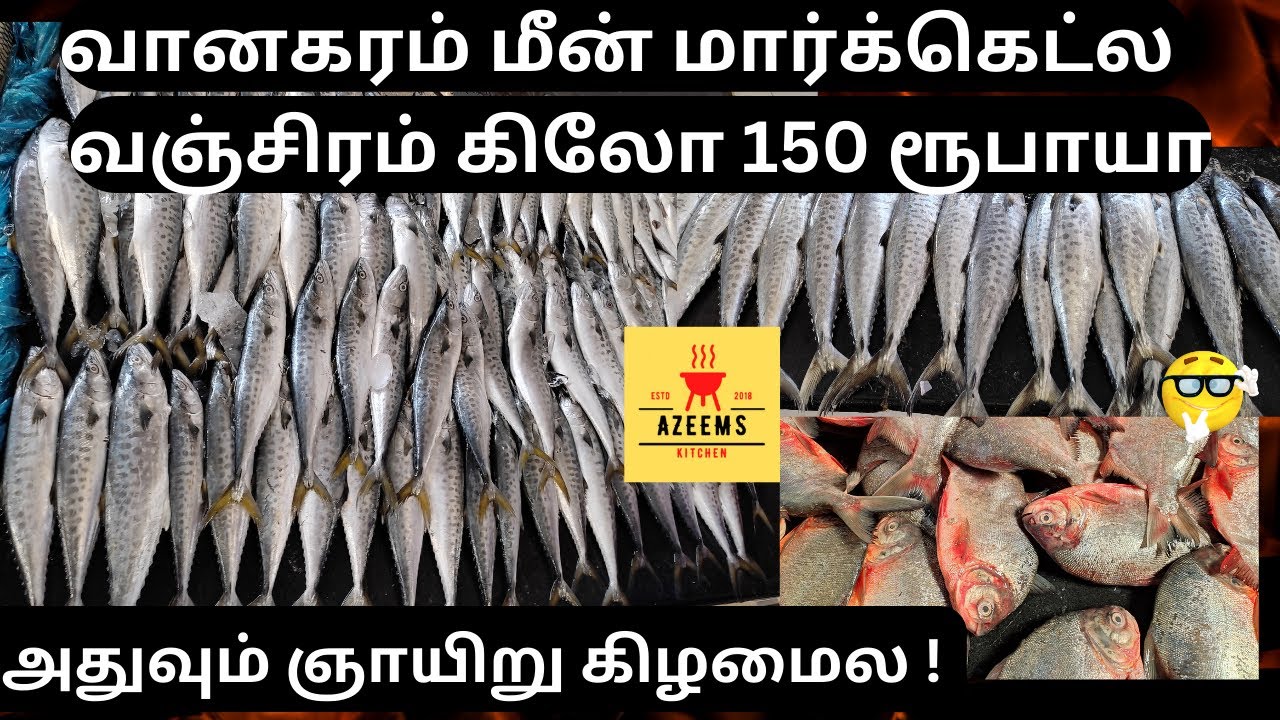 This Vanagaram fish market in Chennai is a must-see! | வானகரம் மீன் ...