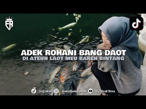 DJ ACEH ADEK ROHANI BANG DAOT | DJ ACEH VIRAL TIKTOK 2025