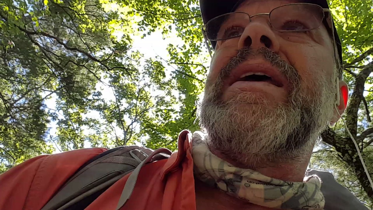 Jay and Bry on the AT Trail Relection #1 - YouTube