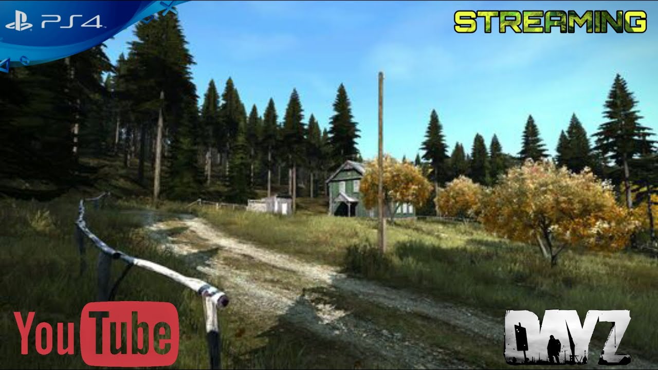 🔴 DayZ PS4 Live Gameplay PVP - Survival - YouTube