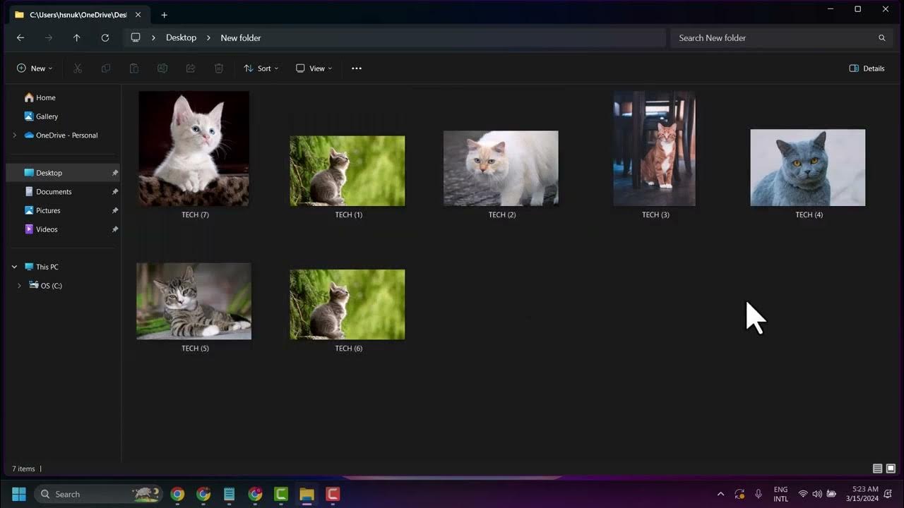 How to Rename Multiple Files at Once in Windows - YouTube