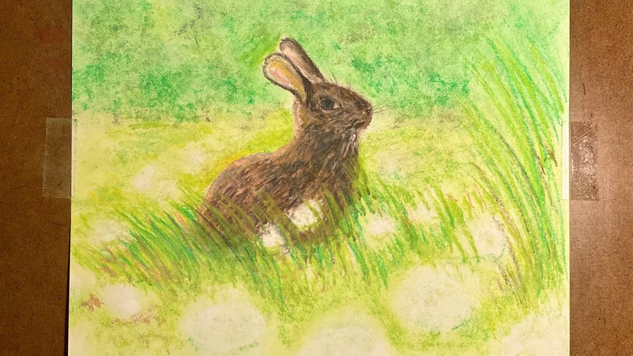 Spring Art Lesson 5 for Kids: Spring Bunny Rabbit chalk pastel drawing ...