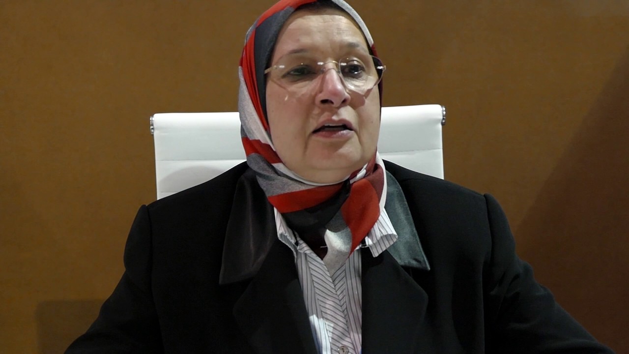 Voices on AREI: Elham M.A. Ibrahim - YouTube