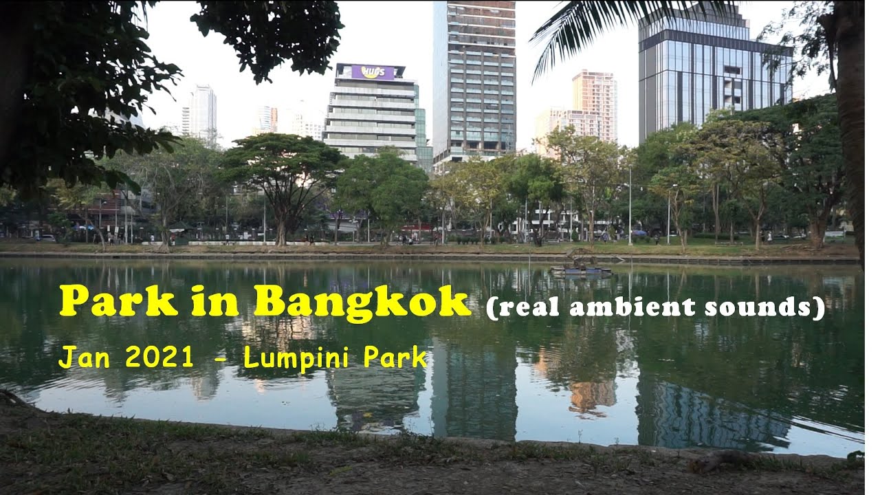 Thailand View 2021 - Lumpini Park, Bangkok | Real ambient & bird sounds ...