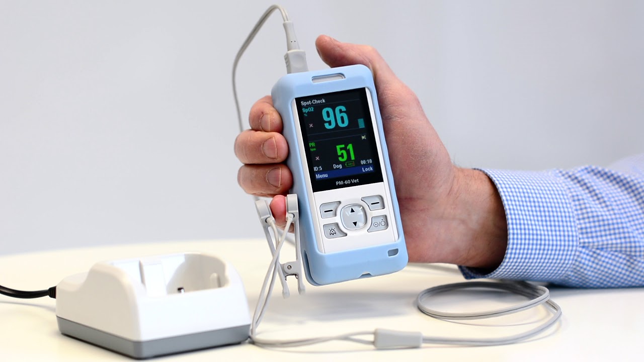 PM 60Vet Pulsoximeter - YouTube