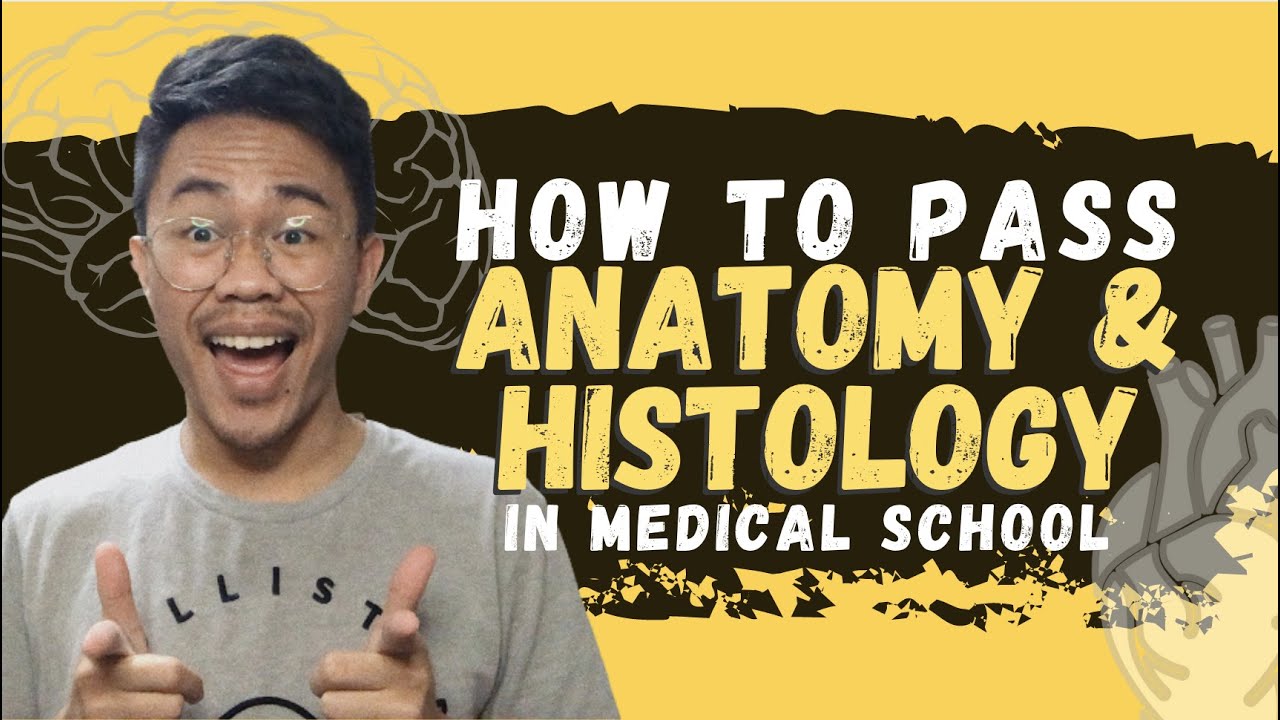 How To Pass ANATOMY HISTOLOGY In Medical School How To Pass That how-to-pass-anatomy-histology-in-medical-school-how-to-pass-that