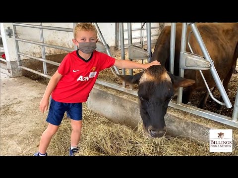 Junior Farmer Camp at Billings Farm & Museum - YouTube