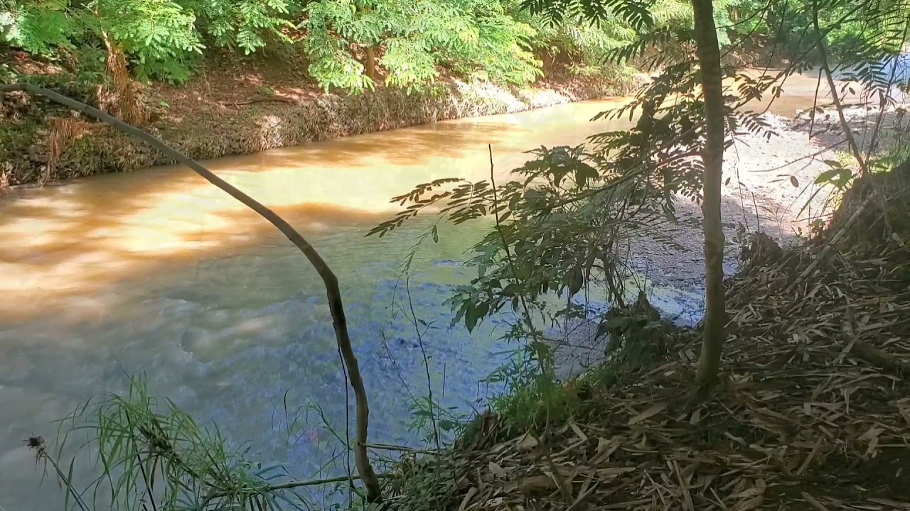 Río Yagüez de Mayagüez | Ciudad de las Aguas Puras | Puerto Rico - YouTube