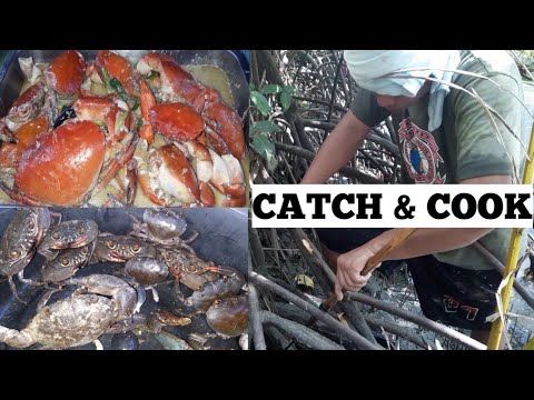 Ep. 102 "SUGA-SUGA CRAB" | Catch & Cook | GINATAAN - YouTube