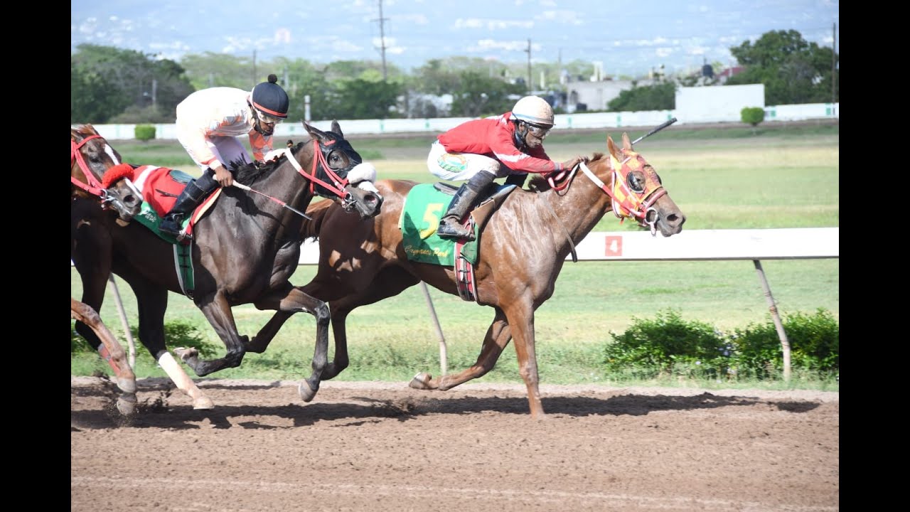 Omar Walker In Blazing Lane Run On Inspire Force Caymanas (Mon, April ...