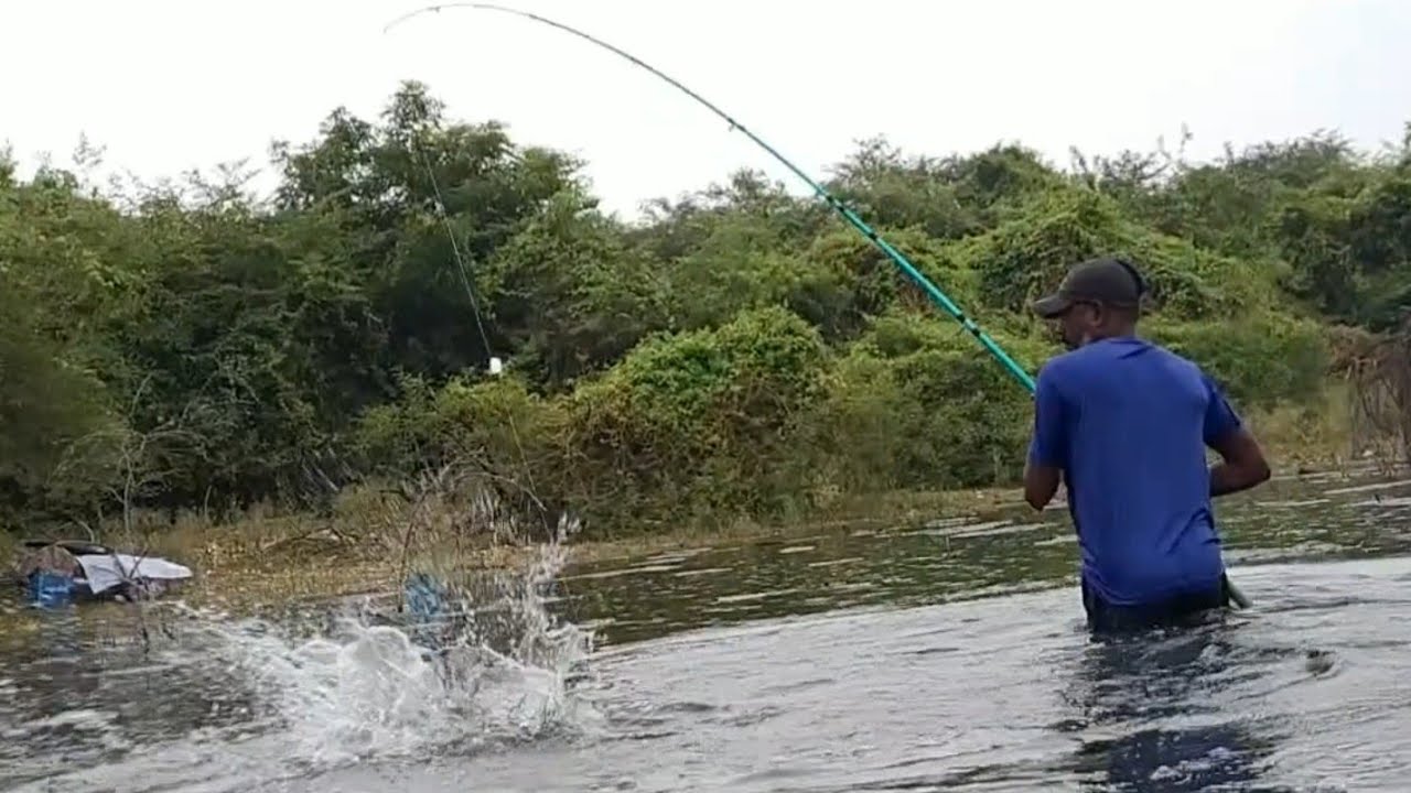 Incredble fishing|Fish hunting Rohu fishes to Catching in Big hook ...