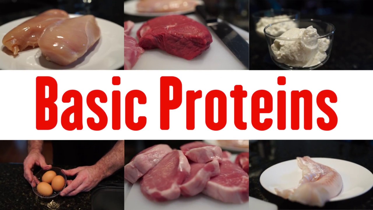 Basic Proteins with Chris Tuttle - YouTube