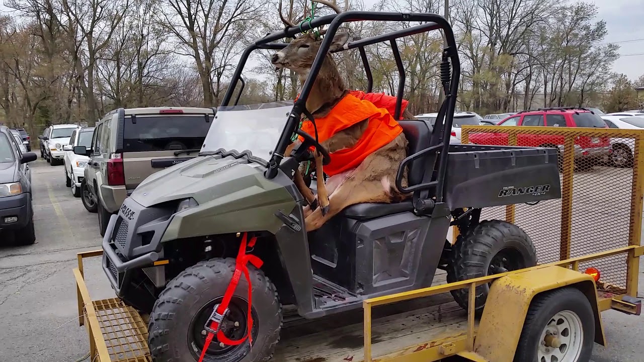 How to transport deer - YouTube
