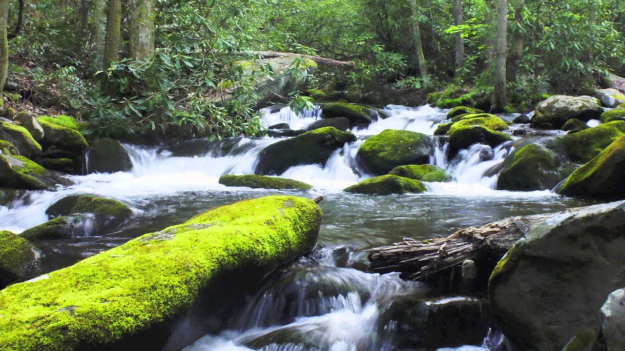 Sparkling River - Relax and Release Stress (432 Hz) - YouTube