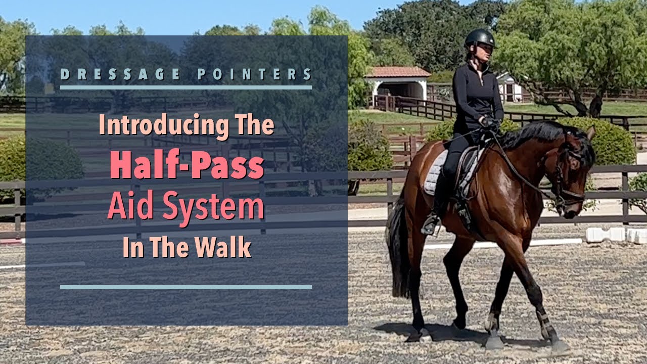Dressage Pointers: Introducing The Half-Pass Aid System In The Walk ...