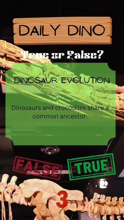 Daily Dino | True or False 1 - YouTube