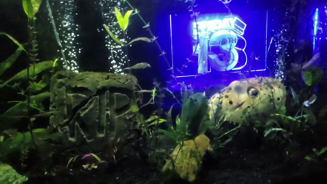 Friday the 13th jason drowned scene - YouTube