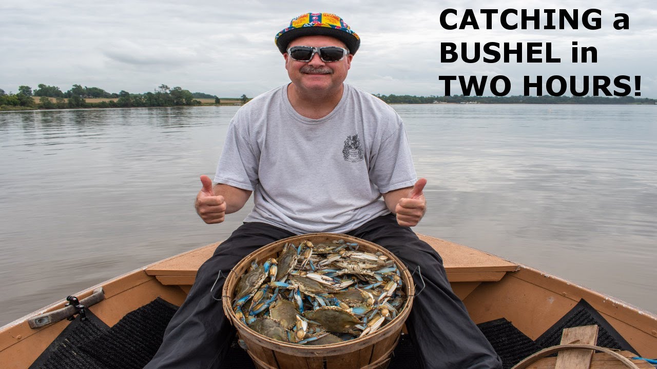 Catching a BUSHEL of Crabs in TWO HOURS!! | Chester River 2020 - YouTube