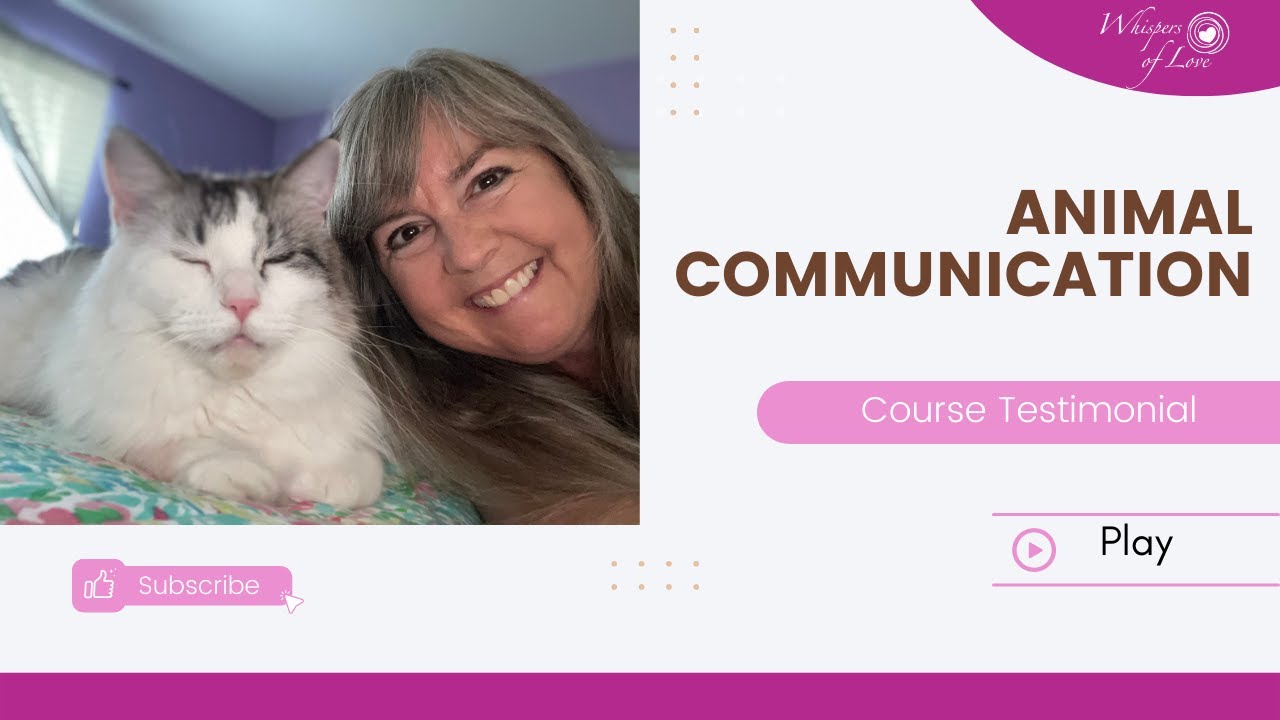 Animal Communication Course Testimonial - YouTube
