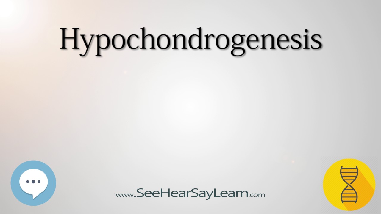 Hypochondrogenesis 🔊 - YouTube