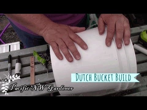 Hydroponic Dutch Buckets with Free Bakery Buckets!! - YouTube