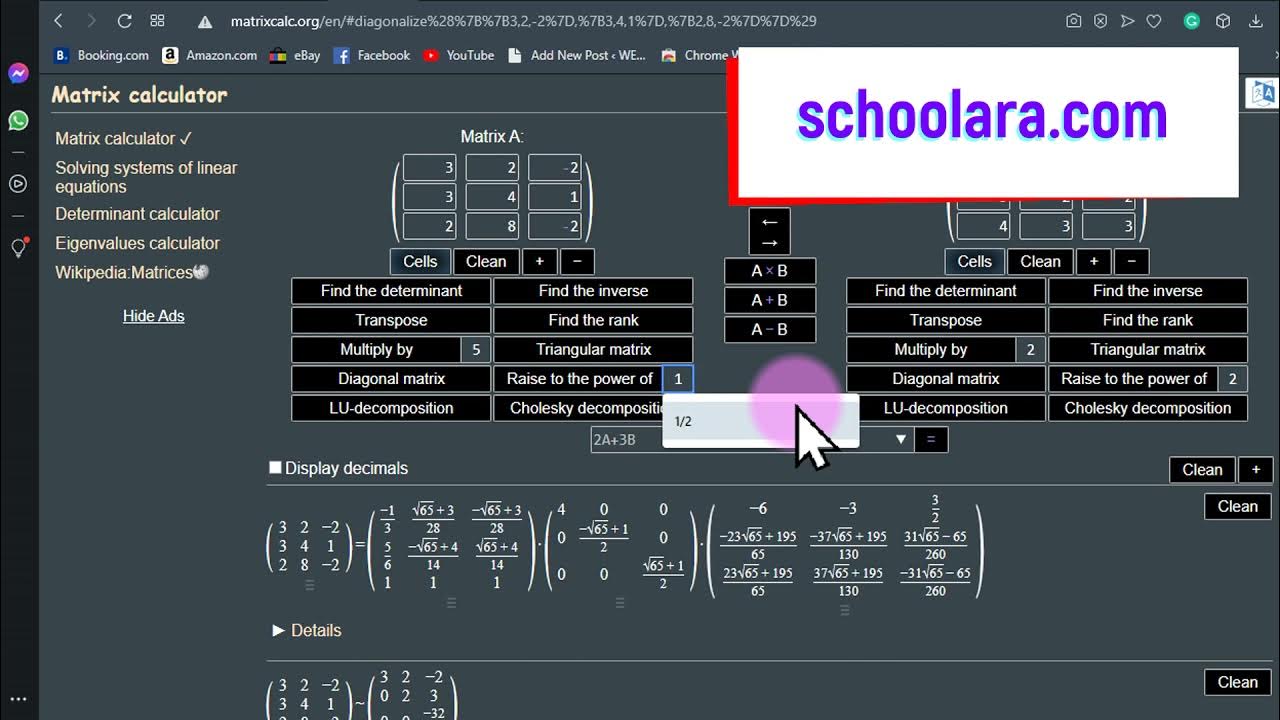 How to use matrixcalc org | Linear Algebra Calculator online math - YouTube