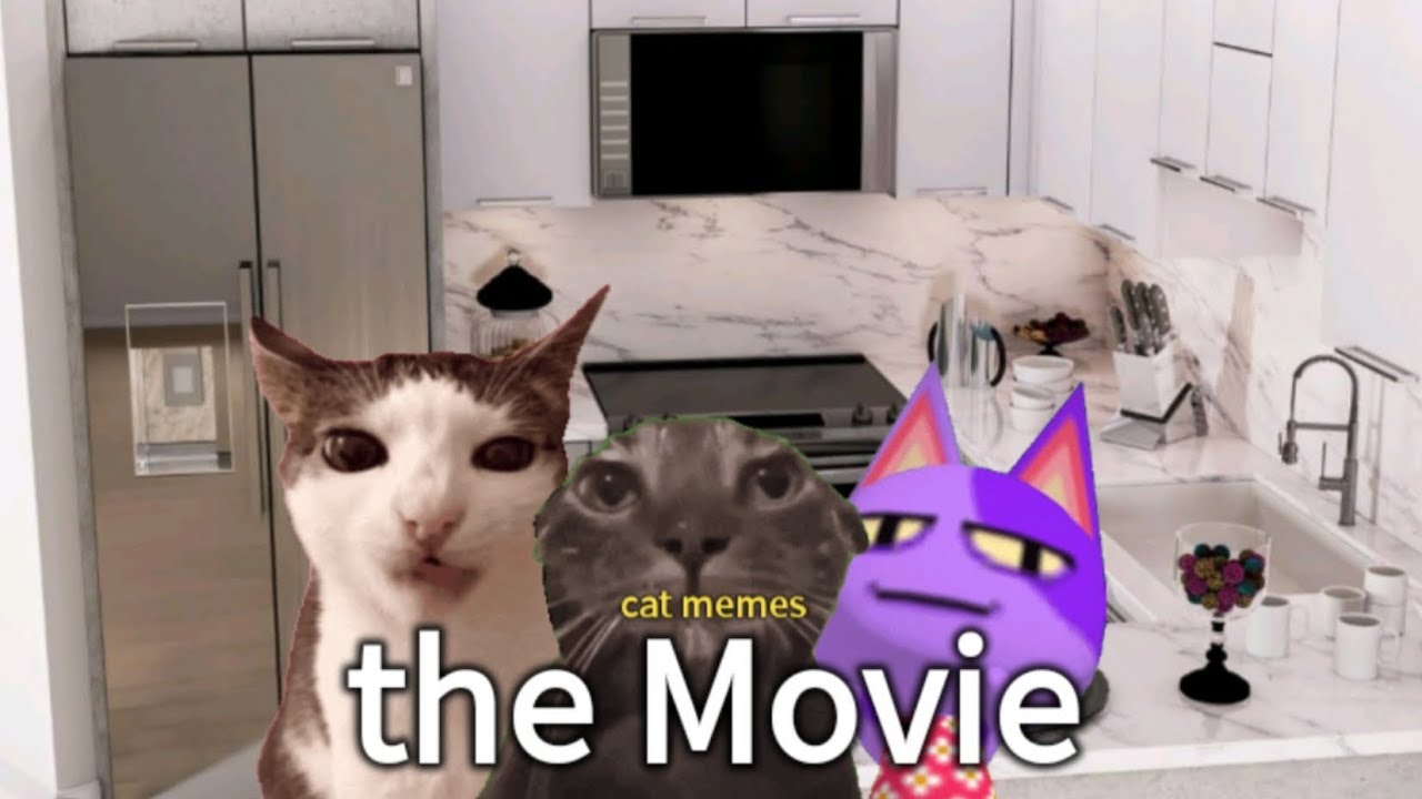 cat memes the move - YouTube