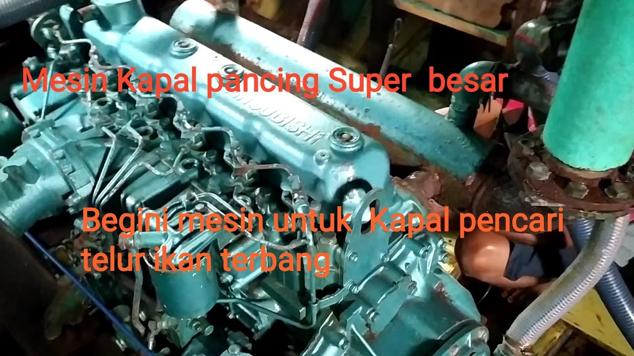 Mesin kapal patorani untuk telur ikan terbang - YouTube