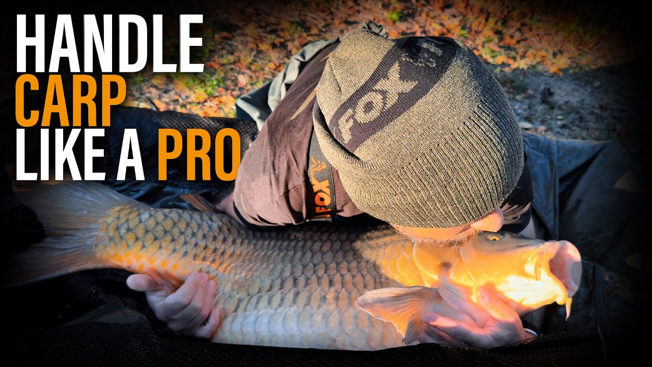 Master the Art of Carp Handling with Ease! - YouTube