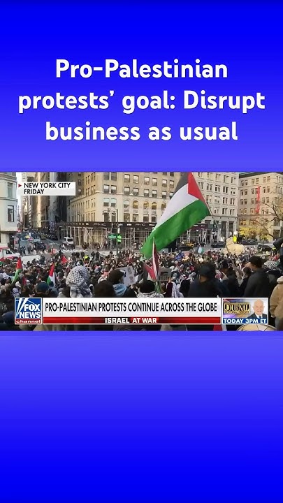Fox News Alexandria Hoff Reports On Nationwide Pro Palestinian Protests Youtube