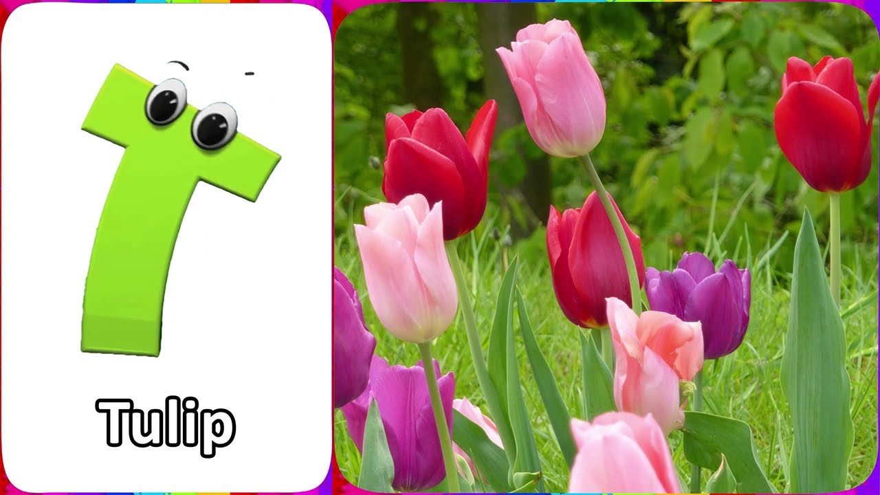 Flower Abc Song Phonics | Kids Phonics | Song for Children | Baby ...