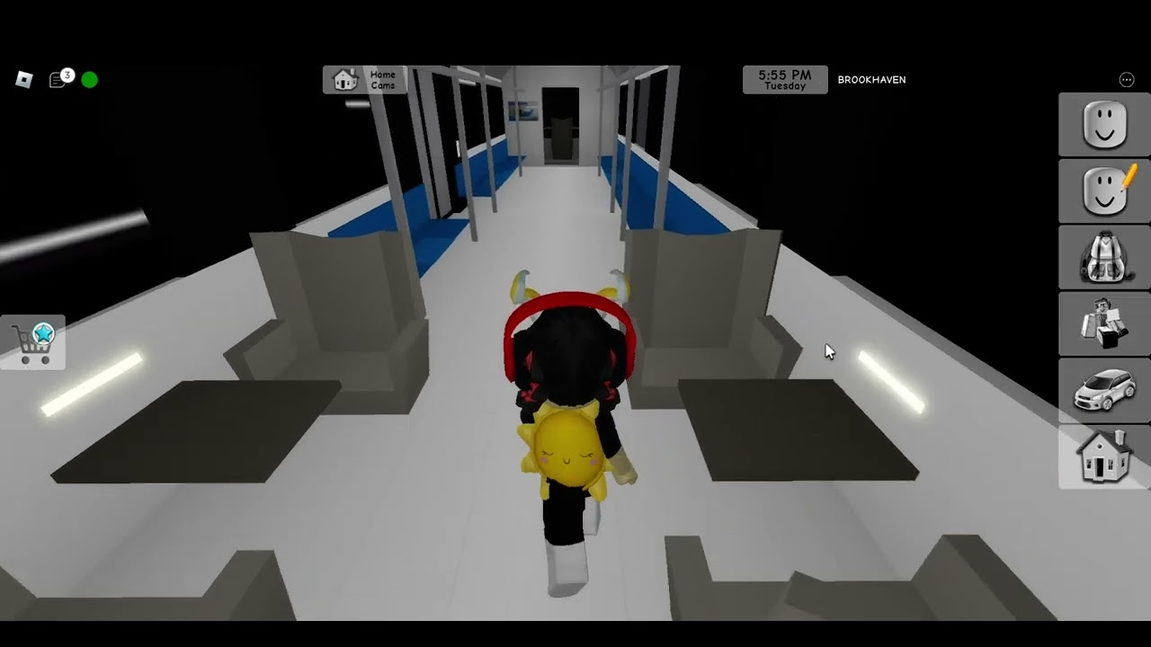Brookhaven subway update - YouTube