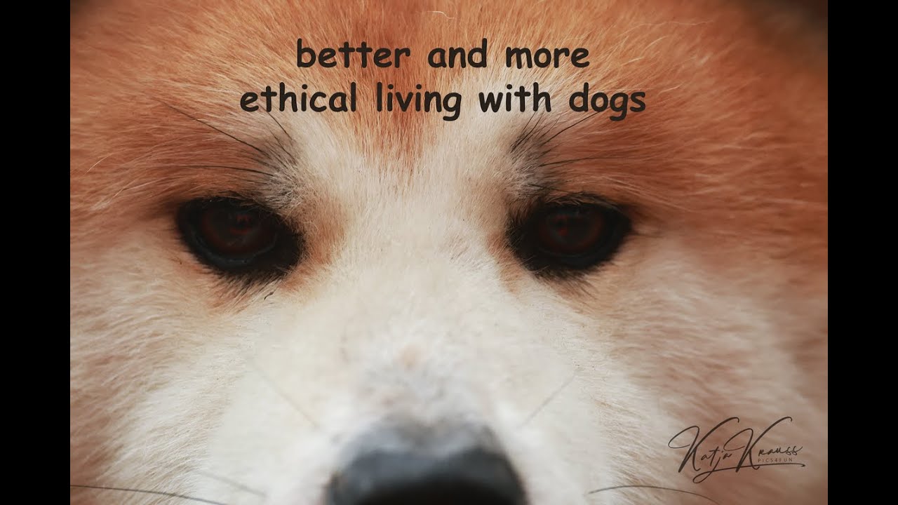 Understanding Dog Behavior through Neutral Observation, including ...