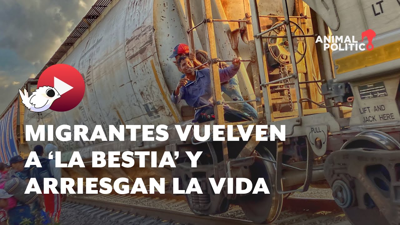 El regreso de “La Bestia”: Migrantes arriesgan la vida en el tren - YouTube