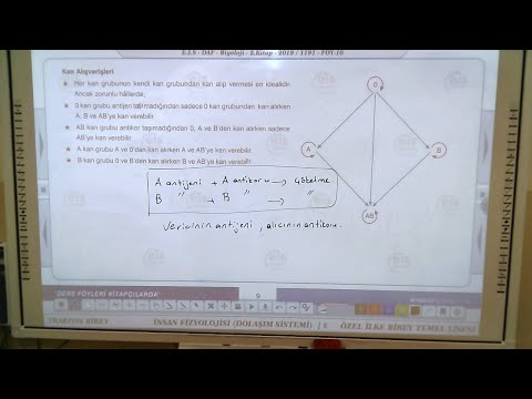 Dolaşım Sistemi - 5 - Biyoloji