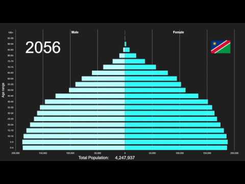Namibia Population Pyramid 1950-2100 - YouTube