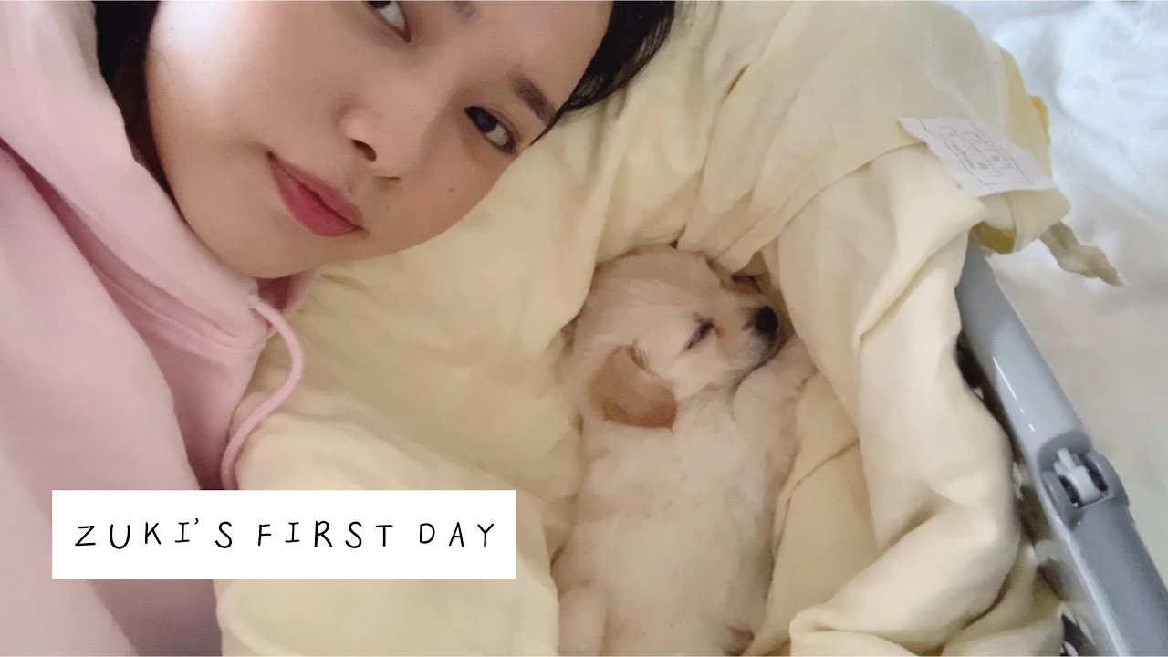Zuki’s First Day - YouTube