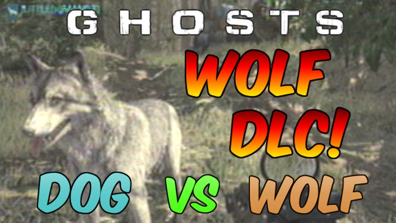 Call Of Duty Ghost - How To Use New WOLF DLC - Is The Wolf Better Than ...