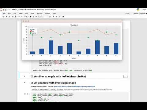 ImGui Bundle: usage with jupyter notebook - YouTube