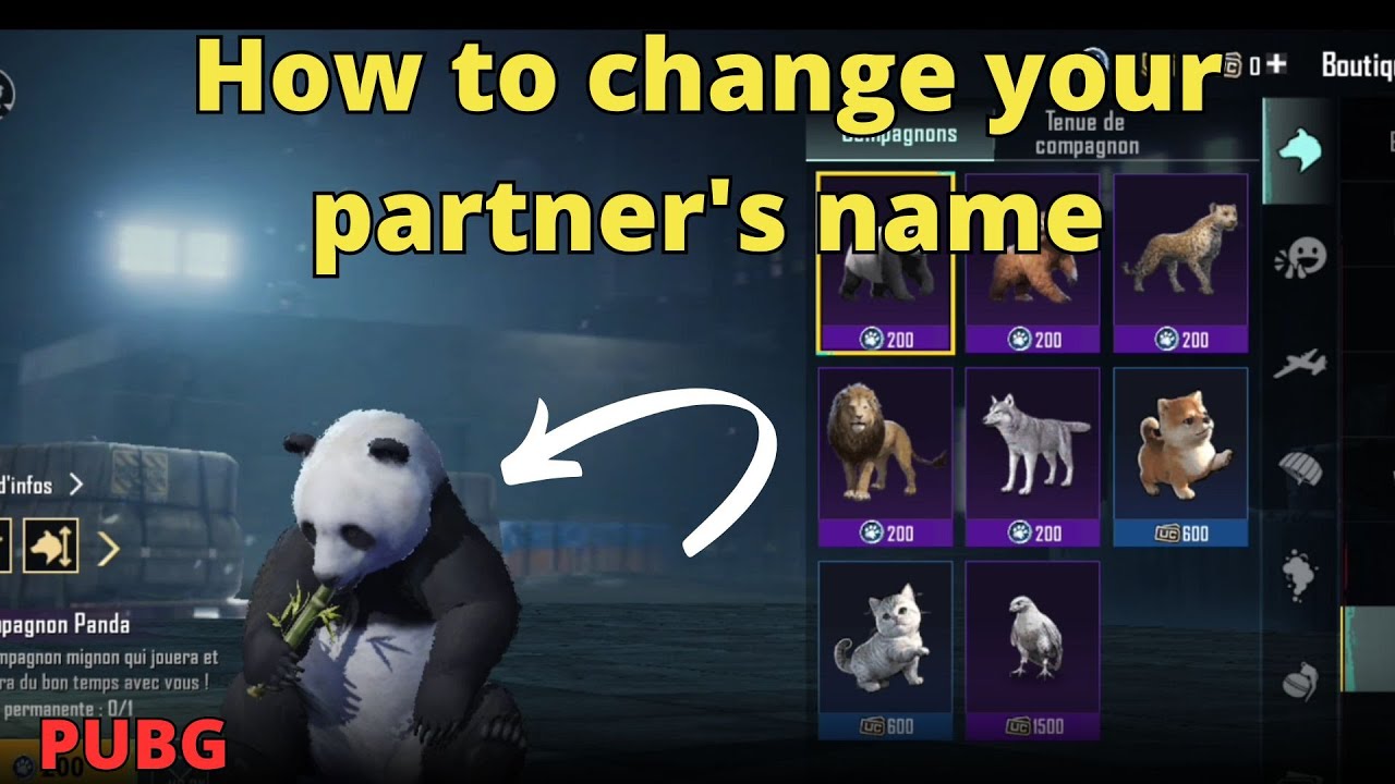 Tutorial How to change your companion's name on PUBG, change companion ...