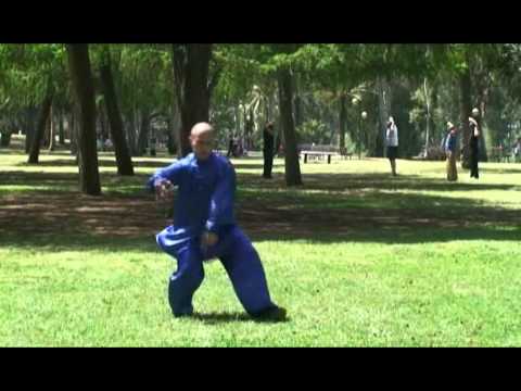 Bagua Zhang (Tao Lu) (FRONT) [02] Shimon Levin - YouTube