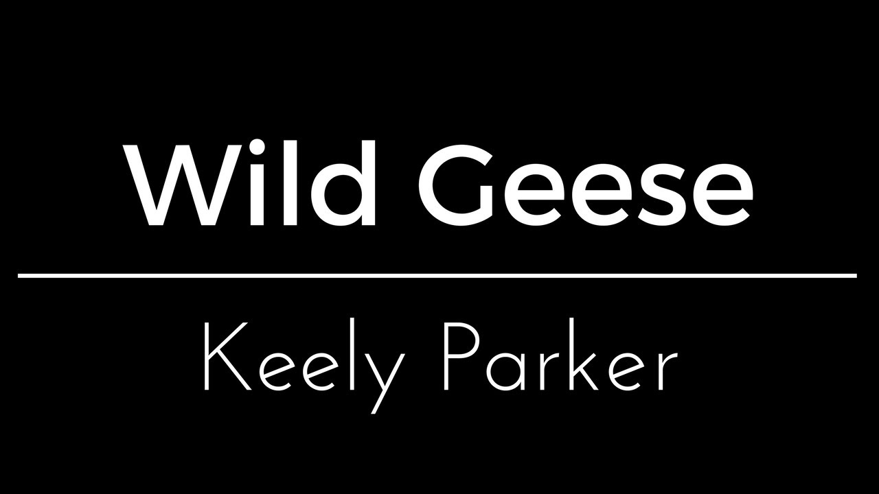 Keely Parker's "Wild Geese" - Solo horn (Richard Hudson) - YouTube