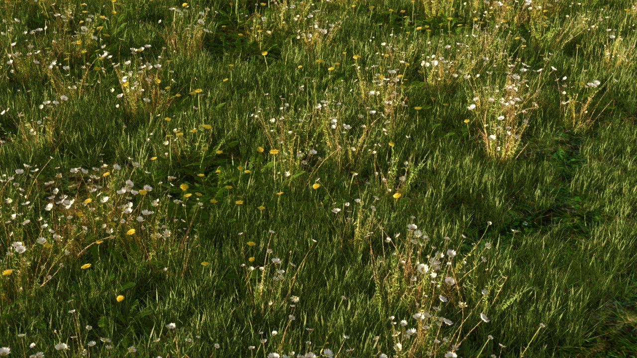 VRay Scatter - Landscape Creation - Rhino 7 - YouTube