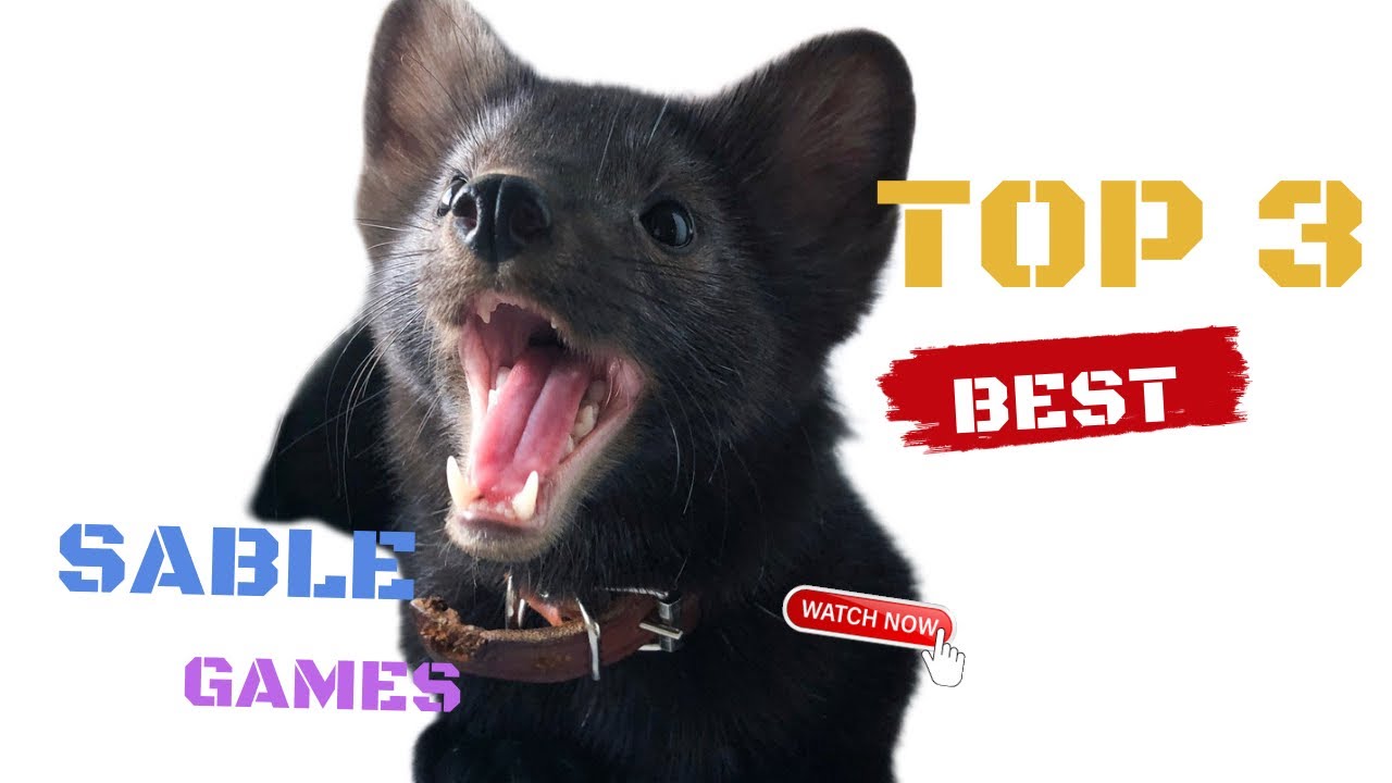 If you don’t play with Buddy the sable - YouTube