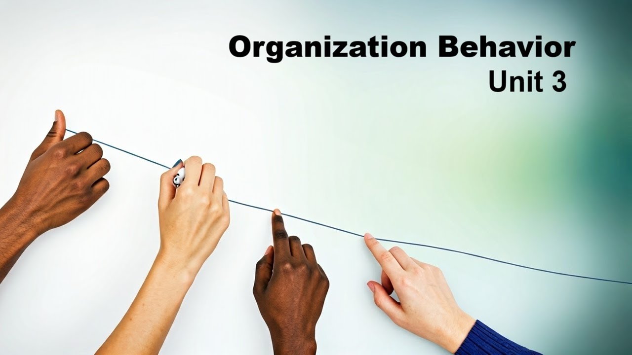 Unit 3 | Organization Behavior (OB) | BCA 2 Semester | MIC - YouTube